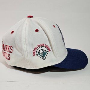 Delong | Accessories | Outer Banks Daredevils Milb Collectible Baseball ...